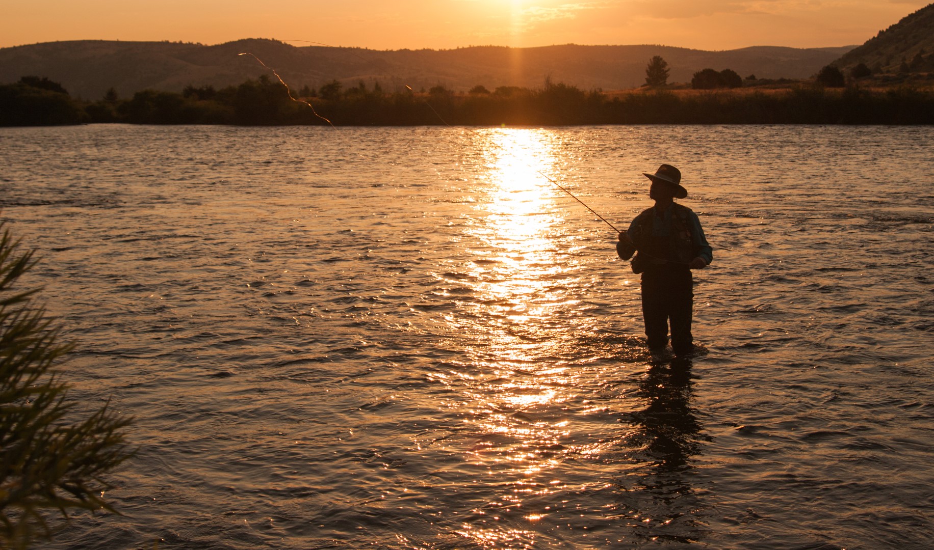 The Artistry of the Line