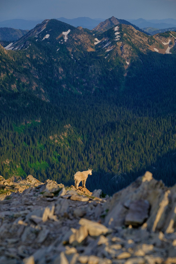 7 Day Hikes in the Swan Range