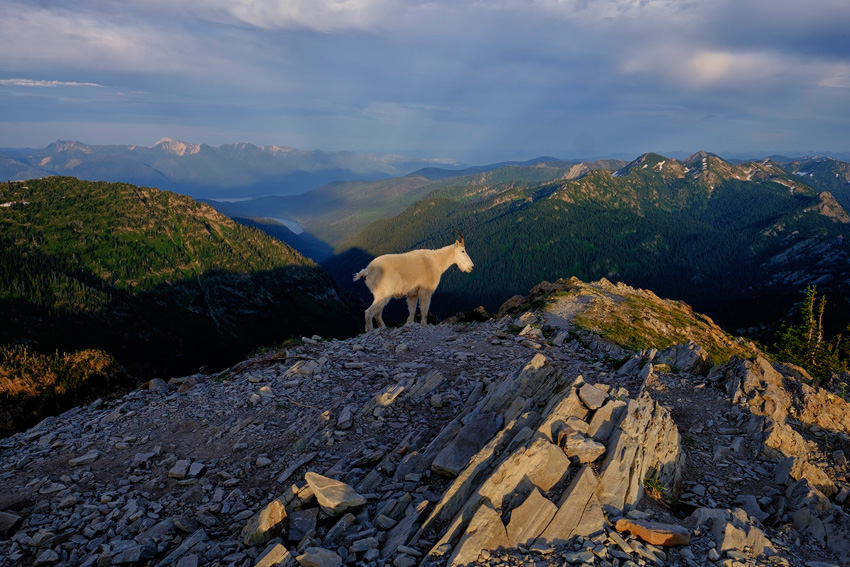 7 Day Hikes in the Swan Range