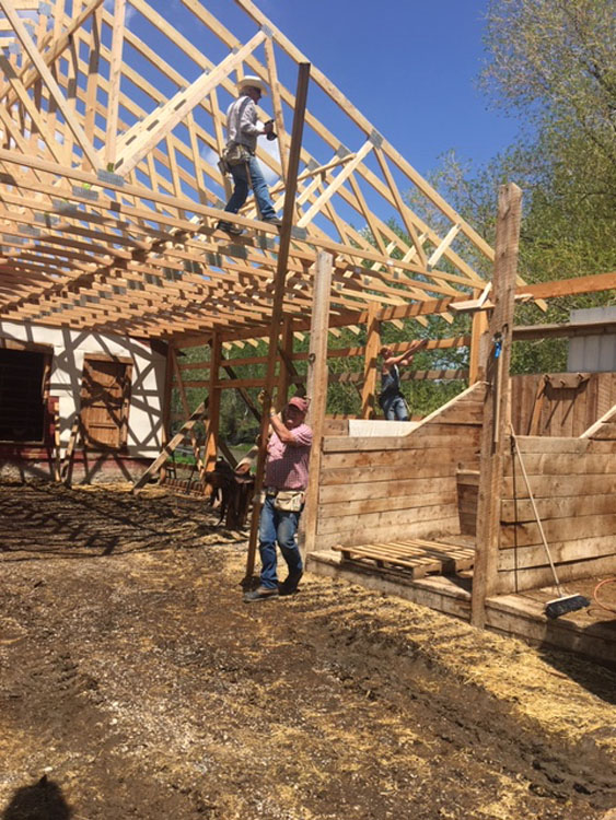 A Barn Collapses Under Snow