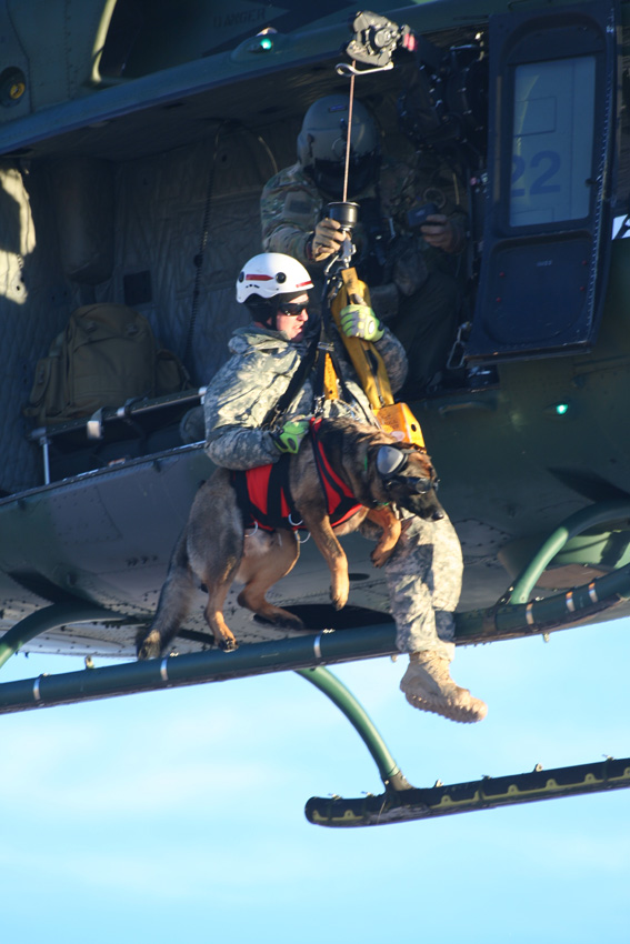 The Invaluable Search and Rescue (SAR) Dogs of Montana