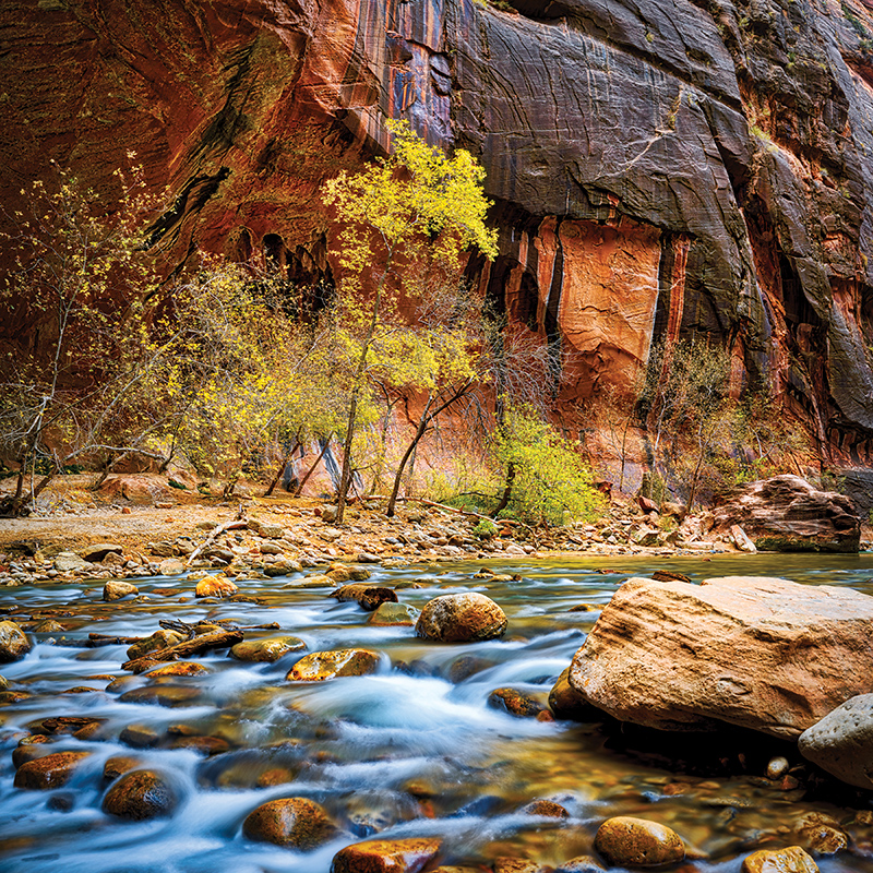 BREATHTAKING! The Fine Photo Art of Matt Suess