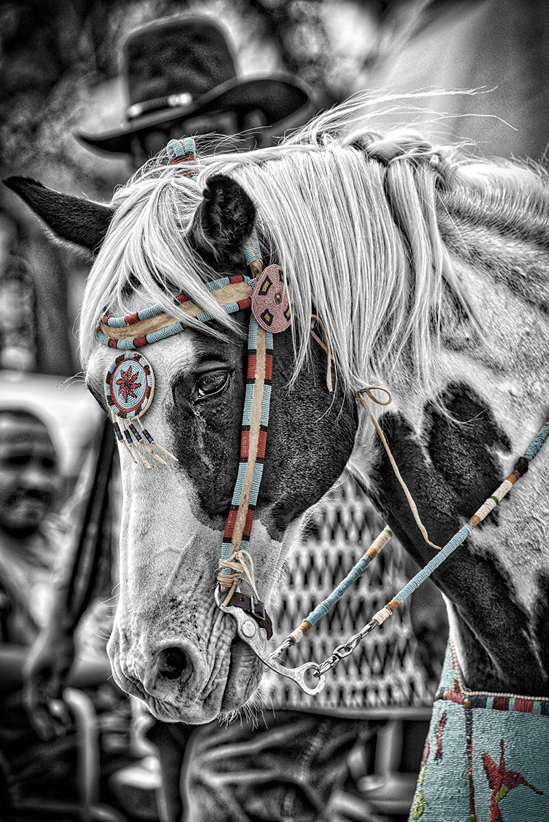 BREATHTAKING! The Fine Photo Art of Matt Suess