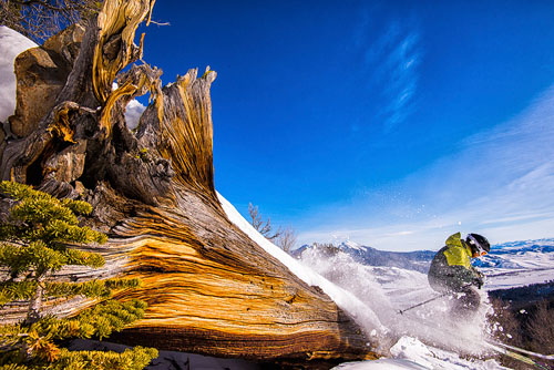 Maverick Mountain Magic