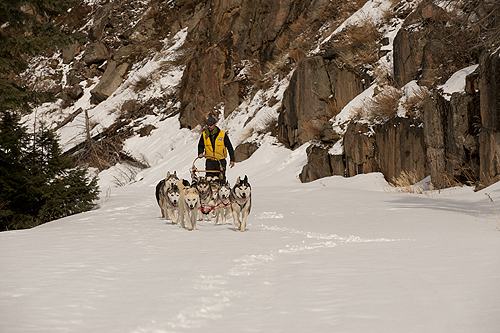Montana Snow Circus
