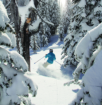 Montana Snow Circus