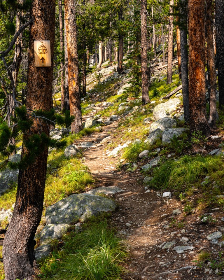 The Anaconda Pintler Wilderness Area