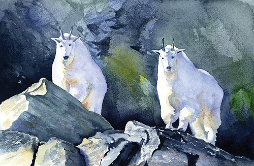 Goats at Gunsight Pass