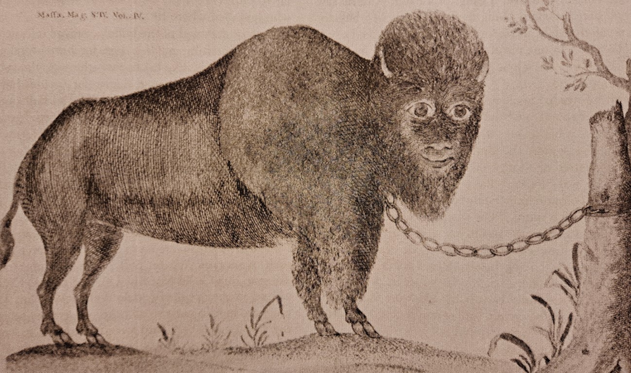 Early European Images of the Bison Were Pretty Wacky...