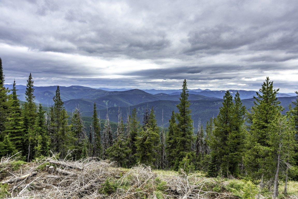 Get to Know a County: Mineral County