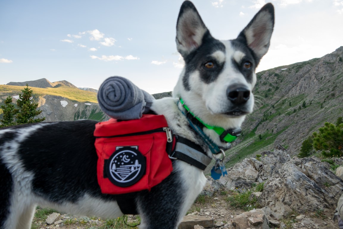 Seeking Solitude Along the Continental Divide Trail