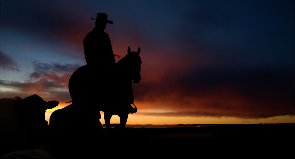 Watching Westerns With My Dad