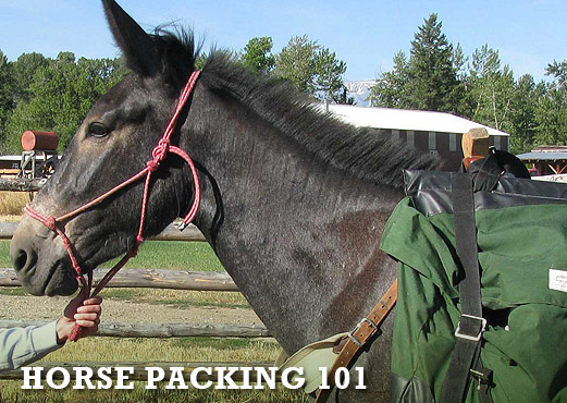 Horse Packing 101