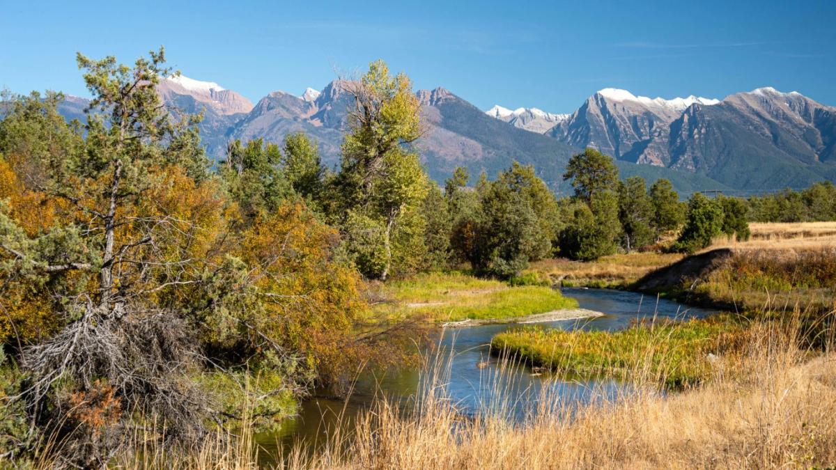 The National Bison Range: Montana’s Other “Crown Jewel” | Distinctly ...