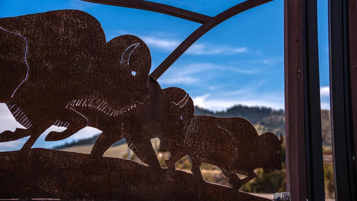 The National Bison Range: Montana’s Other “Crown Jewel” | Distinctly ...