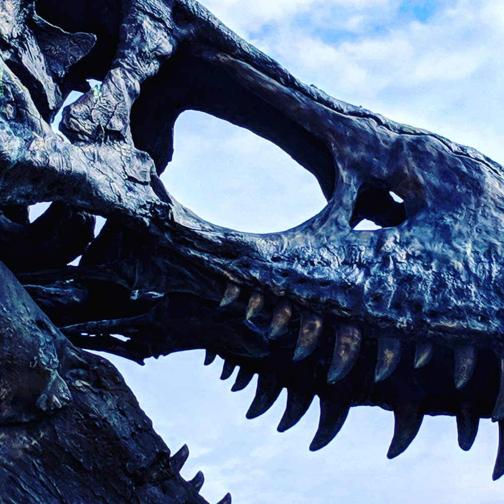 Montana’s Most Legendary Apex Predator: Tyrannosaurus Rex