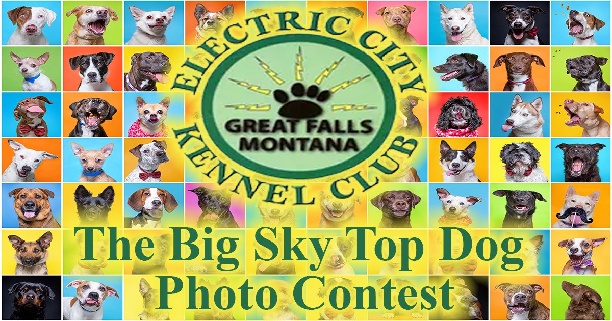 Big Sky Top Dog Photo Contest