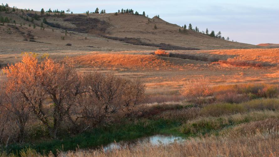 Visit Rosebud Battlefield