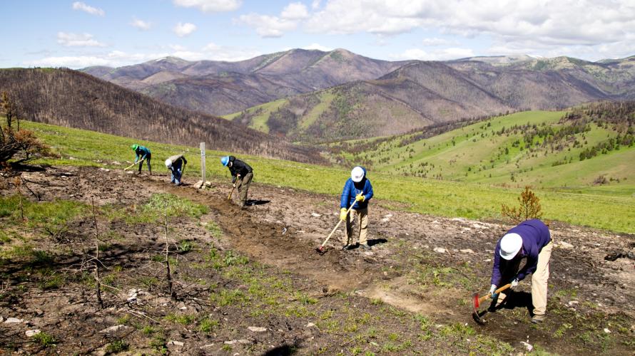 10 Reasons Why You Should Do Trail Work