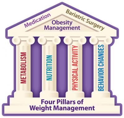 It Takes a Team to Manage Obesity
