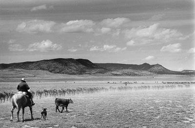 The Photography of Barbara Van Cleve