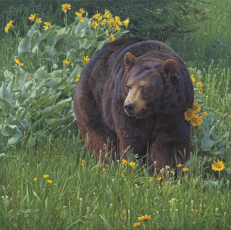 Interview with Daniel Smith, Wildlife Artist