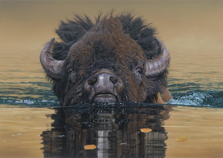 Interview with Daniel Smith, Wildlife Artist